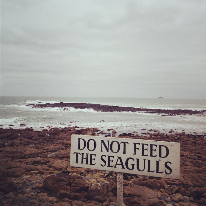 We Are Visual Creatures