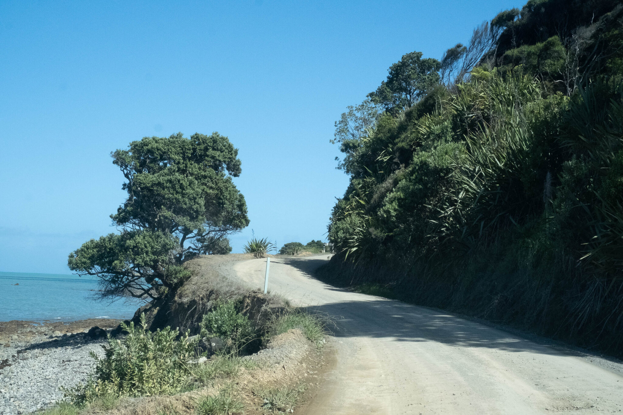 postcards from the coromandel peninsula